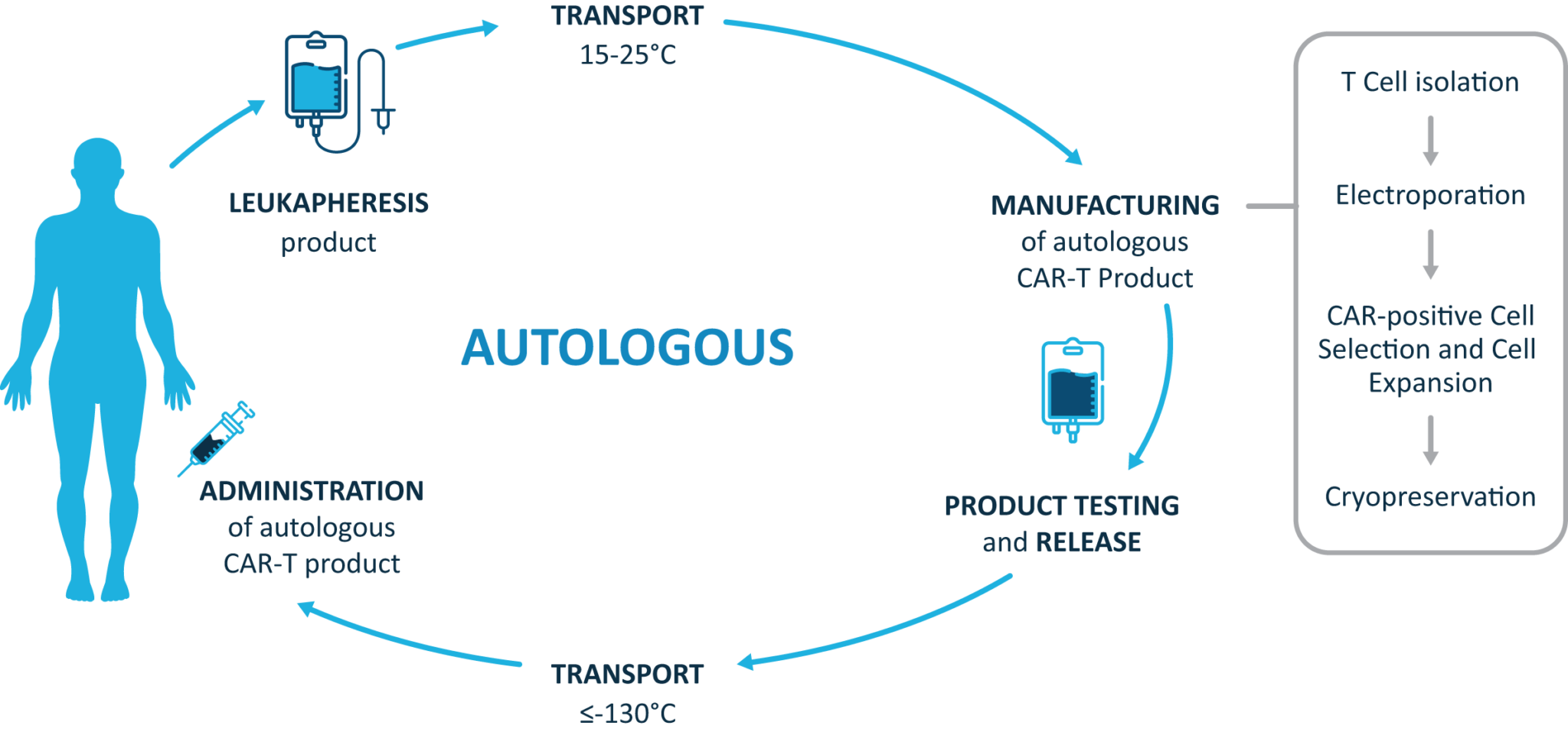 Our Therapies - Poseida Therapeutics